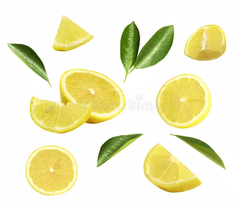 Lemon Slices Composition Isolated on White. Yellow Citrus Pieces ...