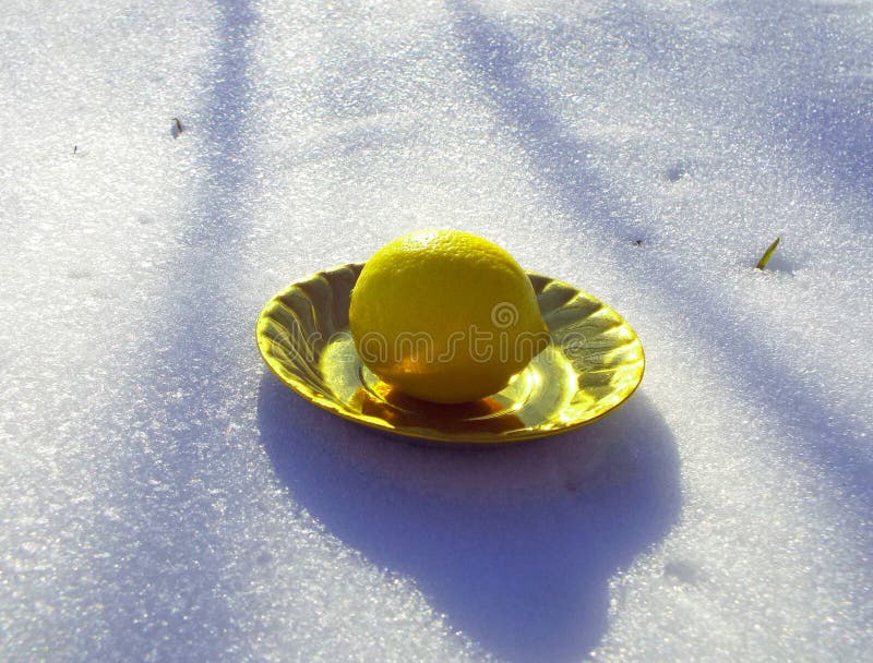 Lemon in snow stock photo. Image of snow, colors, orange - 7690962