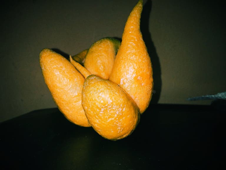 Mega Lemon and Special Creator Stock Photo - Image of plant, fruit ...