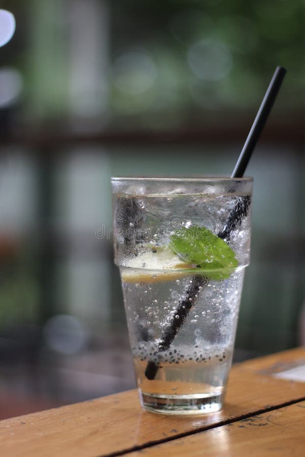 Lemon squash ice stock photo. Image of squash, colddrink - 261668362