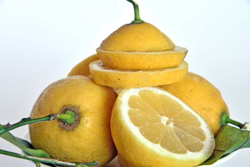 Lemon, still life stock photo. Image of composition, vertical - 92908468