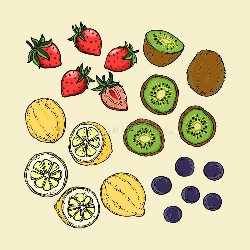 Lemon Strawberry Blueberry and Kiwi Fruit on Background Vector. Stock ...