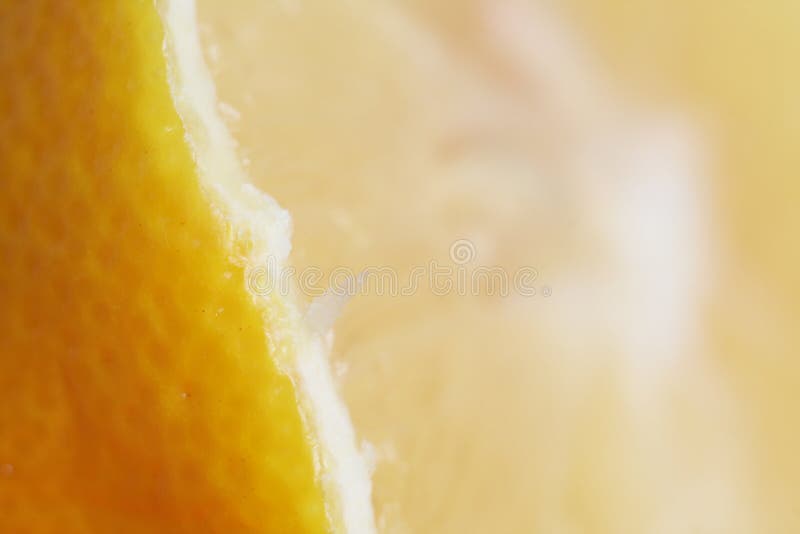 Lemon texture stock photo. Image of lemon, pattern, fruit - 12838996