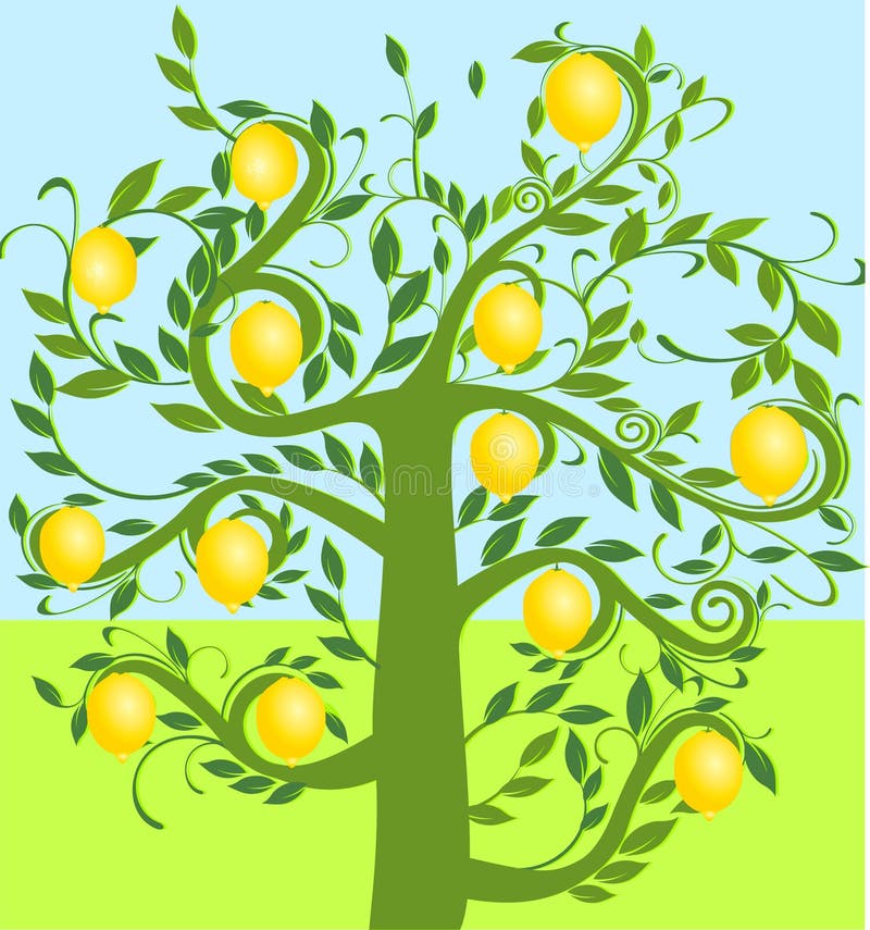 Lemon Tree stock illustration. Illustration of tree, summer - 3270847