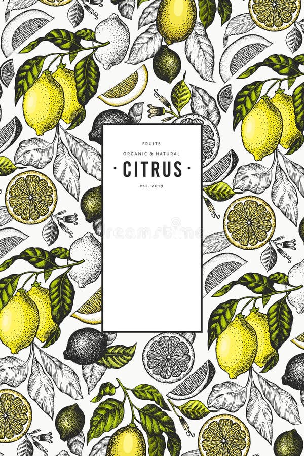 Lemon Tree Frame Template. Hand Drawn Vector Fruit Illustration ...