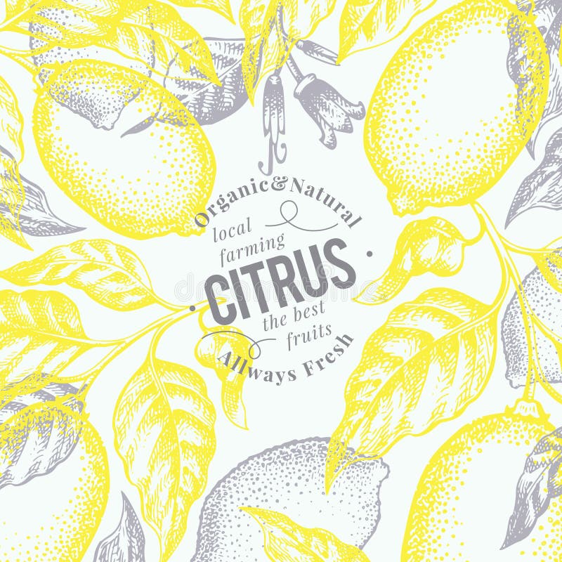 Lemon Tree Logo Template. Hand Drawn Vector Fruit Illustration ...