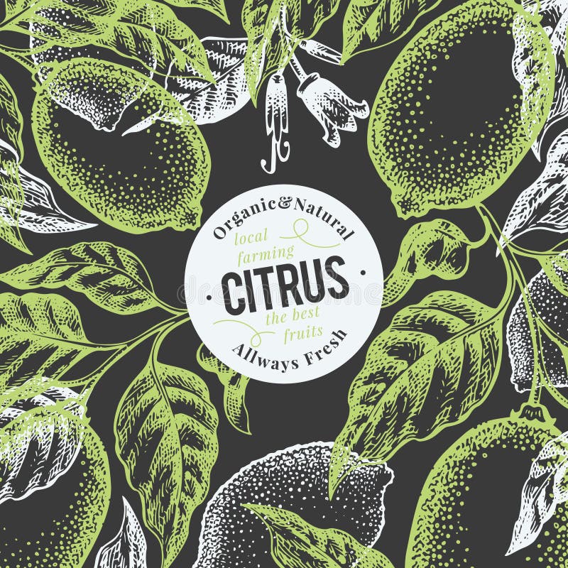 Lemon Tree Logo Template. Hand Drawn Vector Fruit Illustration ...