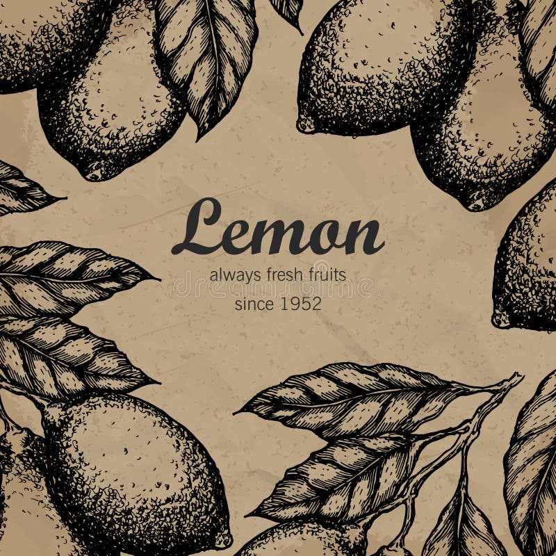 Lemon Tree Design Template. Hand Drawn Lemon Fruit Branch with Leaves ...