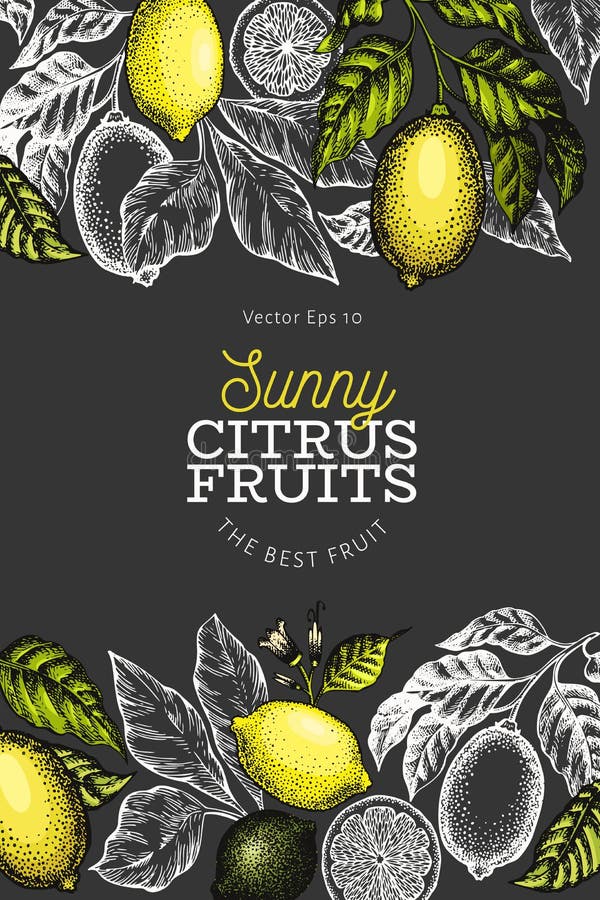 Lemon Tree Logo Template. Hand Drawn Vector Fruit Illustration ...