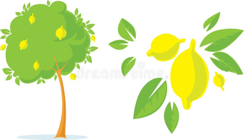 Lemon Tree with Lemon Flat Fresh Design with Citrus - Vector ...