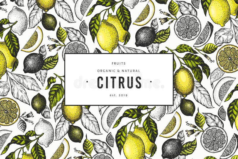 Lemon Tree Frame Template. Hand Drawn Vector Fruit Illustration ...