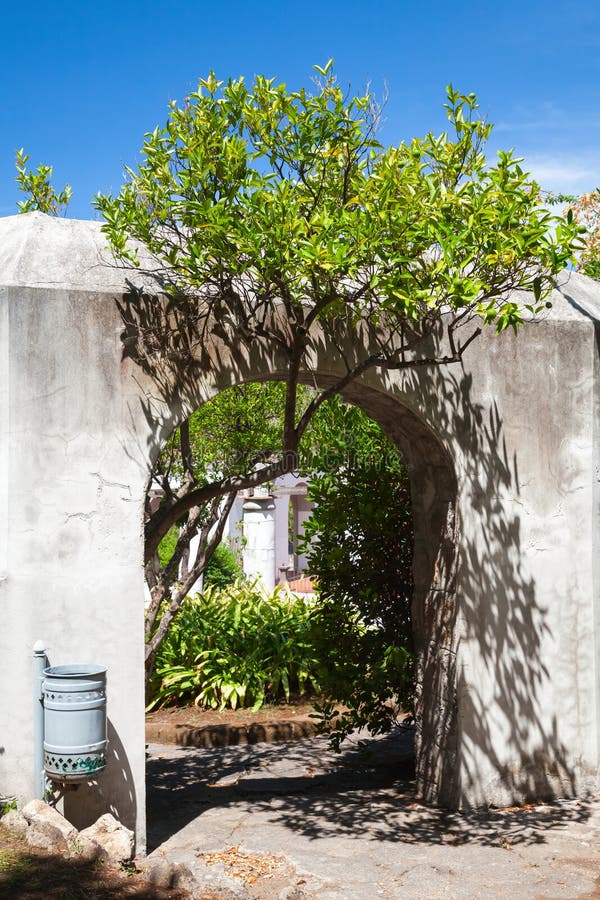 Lemon Tree Grows Out of a Park through Gate Stock Image - Image of ...