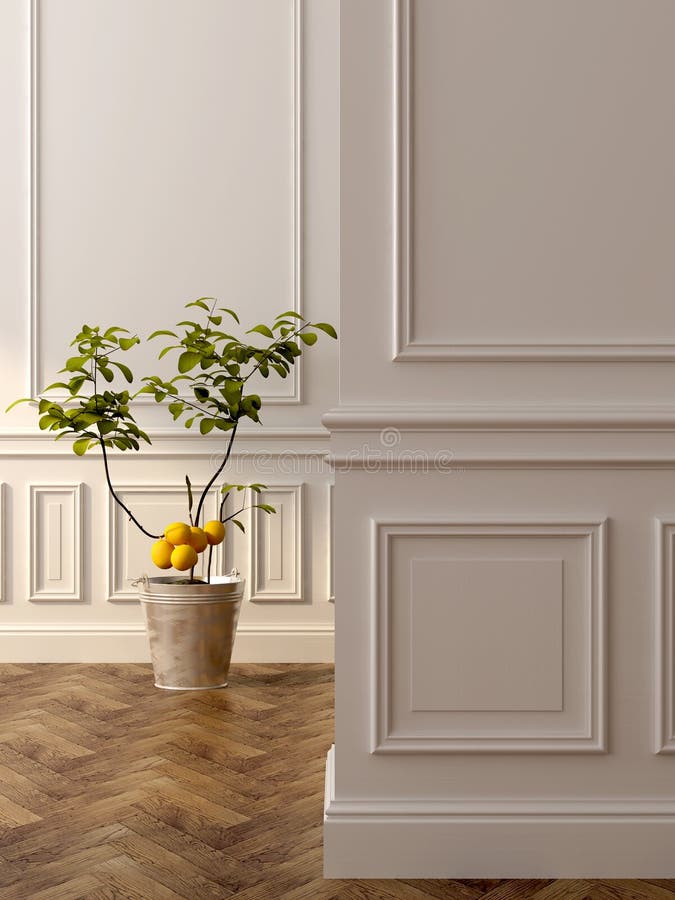 Lemon tree in the interior stock illustration. Illustration of domestic ...
