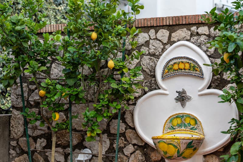Lemon Tree in a Pot in Villa Graden Capri, Italy Stock Image - Image of ...