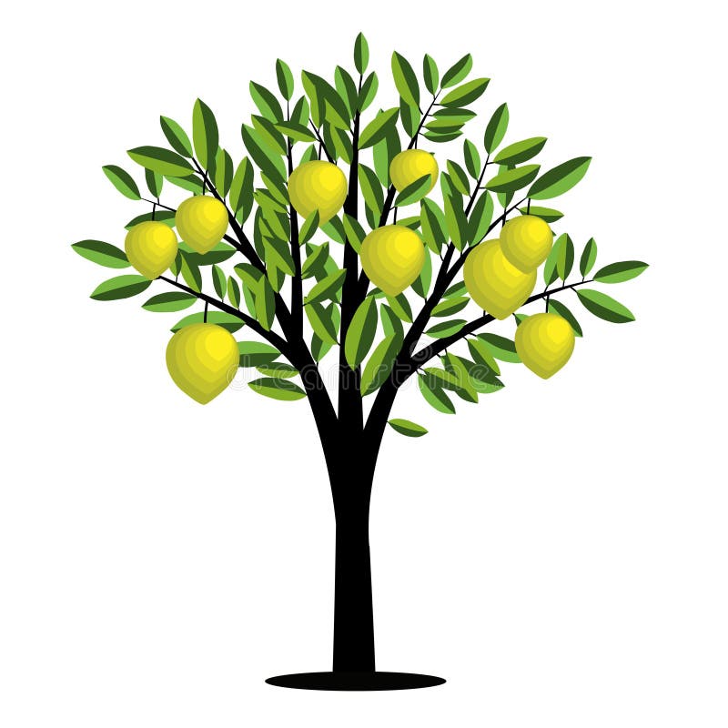Lemon tree stock vector. Illustration of kids, graphic - 14894390
