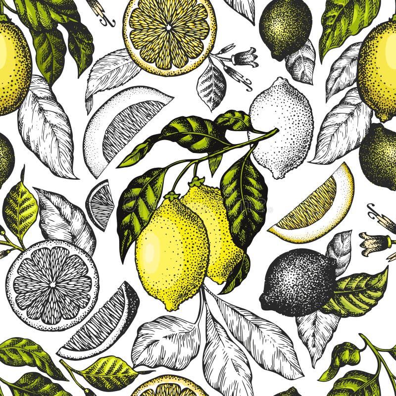 Lemon Tree Seamless Pattern. Hand Drawn Vector Fruit Illustration ...