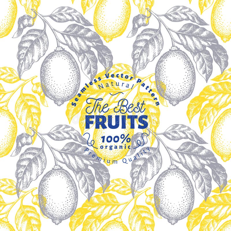 Lemon Tree Frame Template. Hand Drawn Vector Fruit Illustration on Dark ...