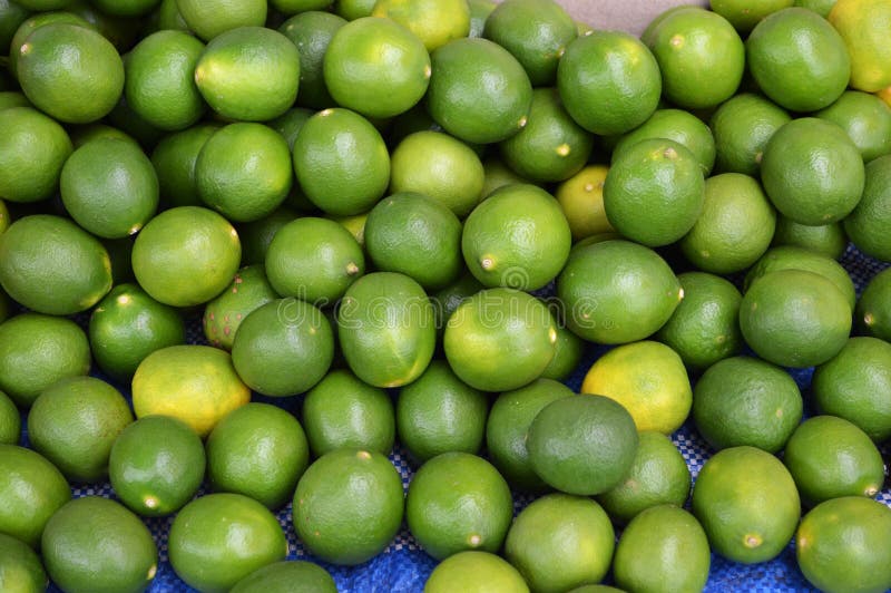 Lemon stock photo. Image of yellow, lemon, green, food - 42429192