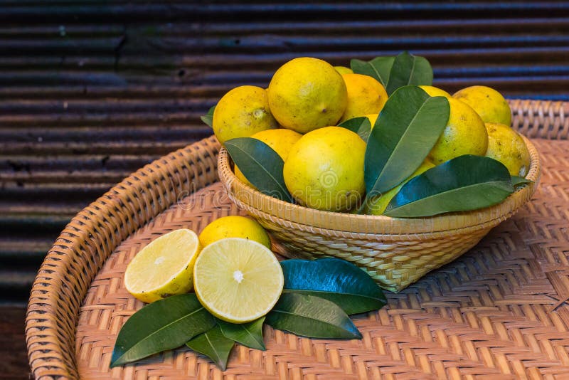 Lemon stock photo. Image of season, plant, container - 36930902