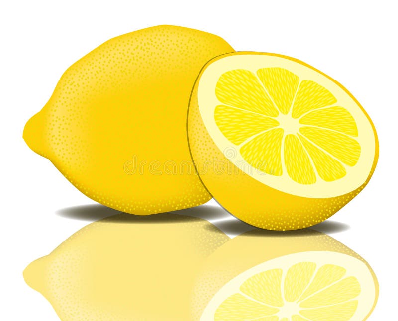 Lemon Vector Lemon Citrus Fruit South Mediterranean Sour Stock Vector ...