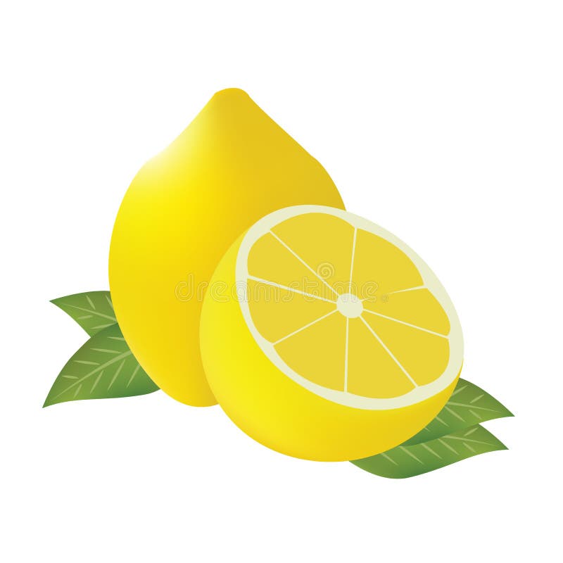 Lemon stock vector. Illustration of nutritional, vector - 9953795