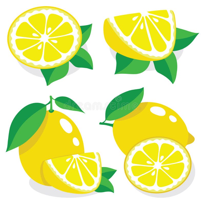 Lemon vector illustration stock vector. Illustration of collection ...