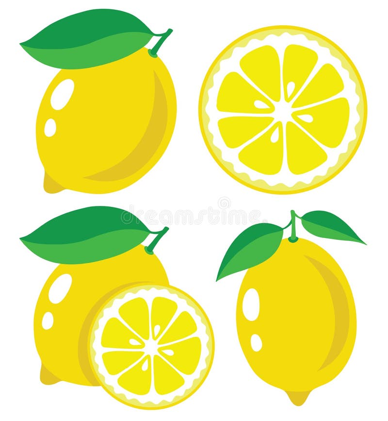Lemon vector illustration stock vector. Illustration of cutout - 55619084