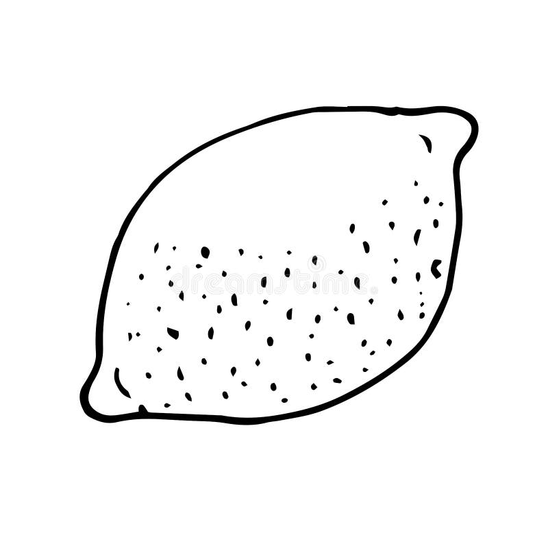 Lemon, Vector Illustration, Hand Drawing, Sketch Stock Vector ...
