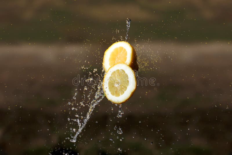 Lemon water drops stock photo. Image of food, drop, healthy - 53546674