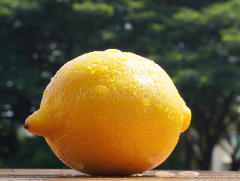 Lemon with Water Drops in a Nature Background Stock Photo - Image of ...
