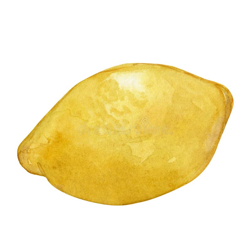 Lemon Watercolor Hand Draw Illustration Isolated on White Background ...