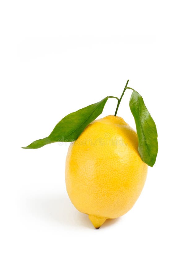 Lemon on white backdrop stock image. Image of organic - 82141751