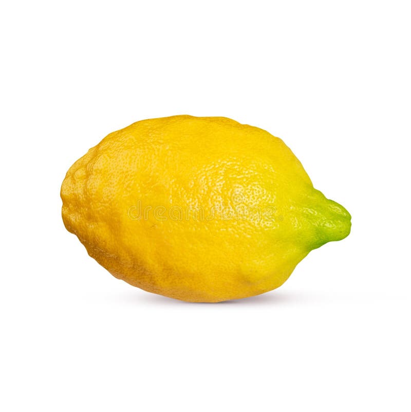 Bangladeshi Lemon Named As Ada Lebu Stock Photo - Image of fruit ...