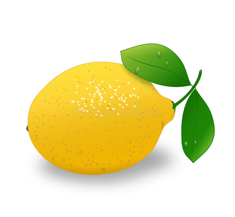 Lemon set stock vector. Illustration of background, ripe - 70235191