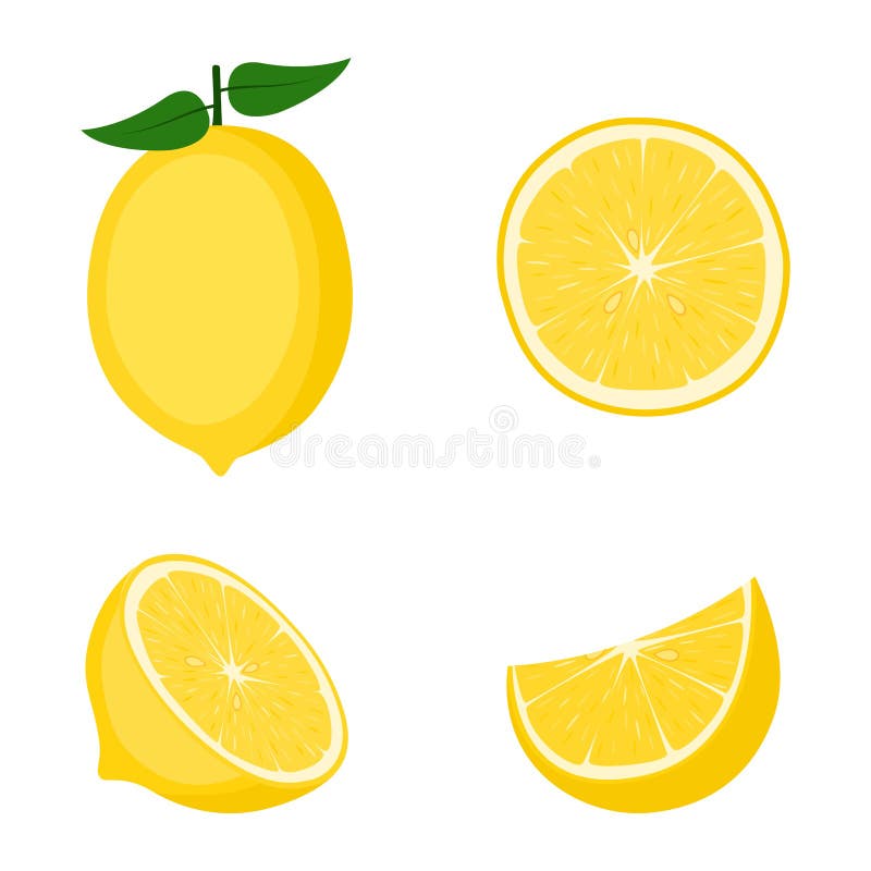 Lemon, Whole Fruit, Half, Slices, Vector Illustration Stock Vector ...