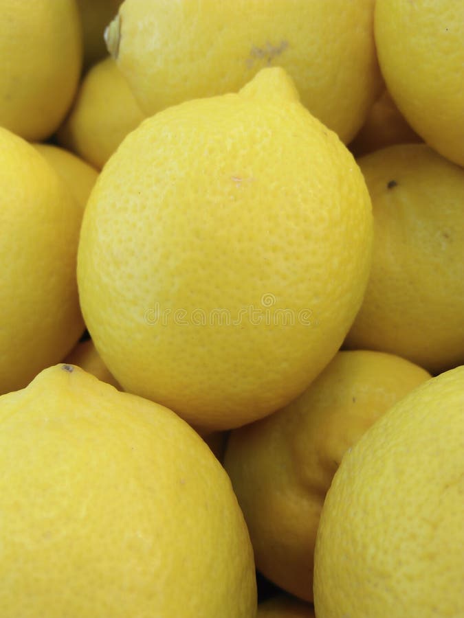 Lemon yellow fresh stock image. Image of nutritious - 141790829