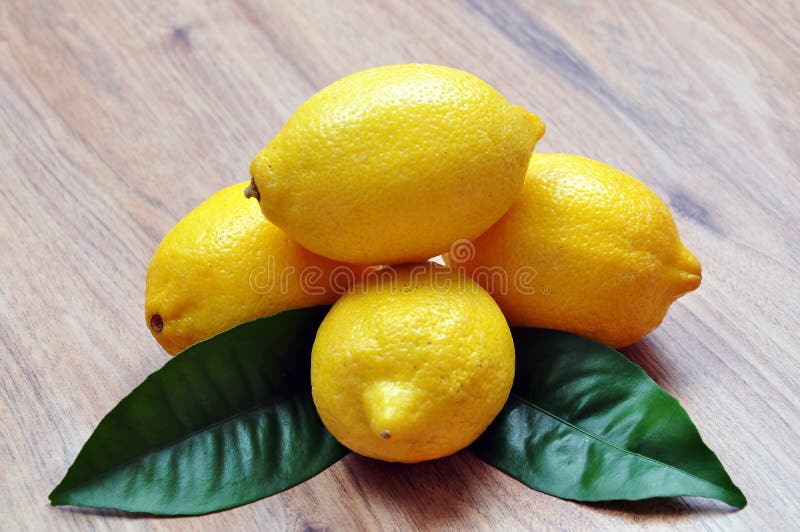 Lemon stock photo. Image of fruit, leaf, sour, yellow - 59941302