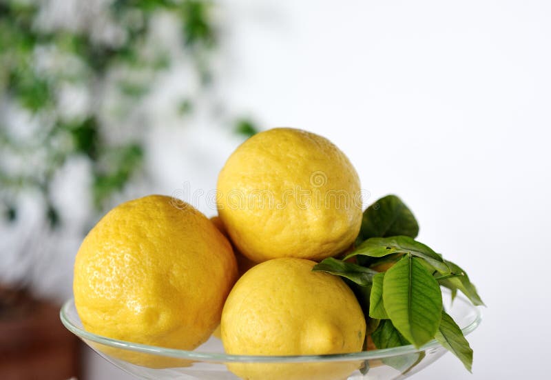 Lemon Yellow Healthy Fruit with Leaves Stock Image - Image of eating ...