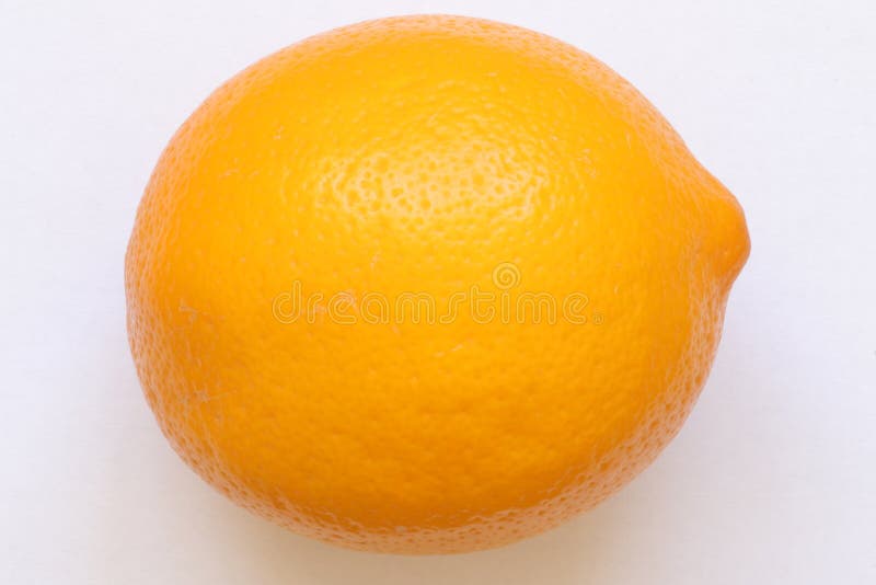 Lemon. stock photo. Image of light, yellow, white, natural - 207655386