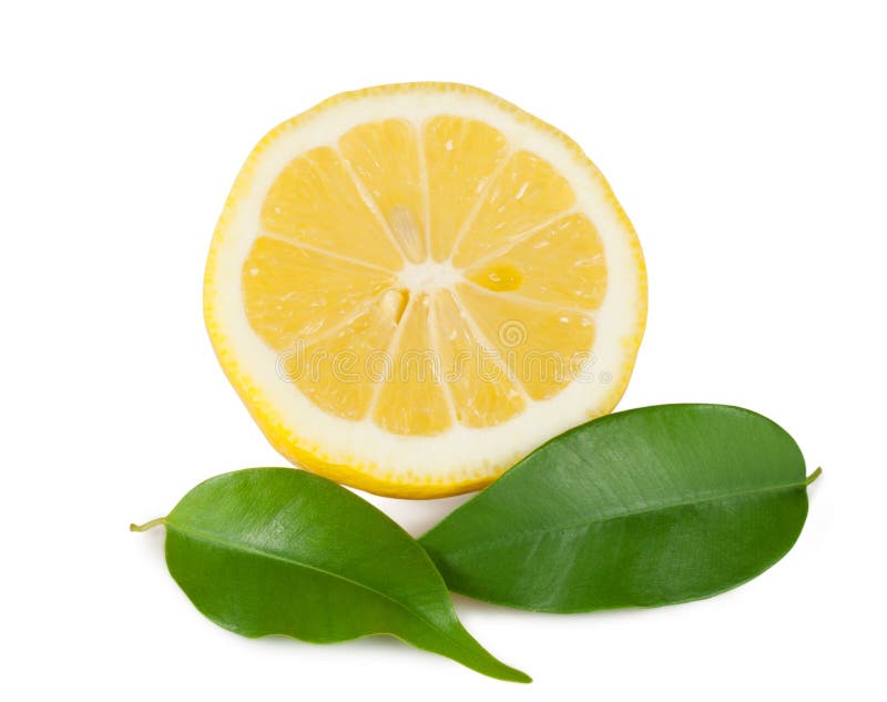 Lemon Yellow with Two Leaves Stock Image - Image of slice, single: 24287093