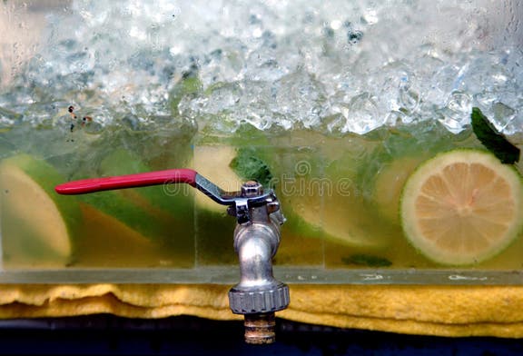 Lemonade stock image. Image of lemonade, leaves, tank, lemon - 247567