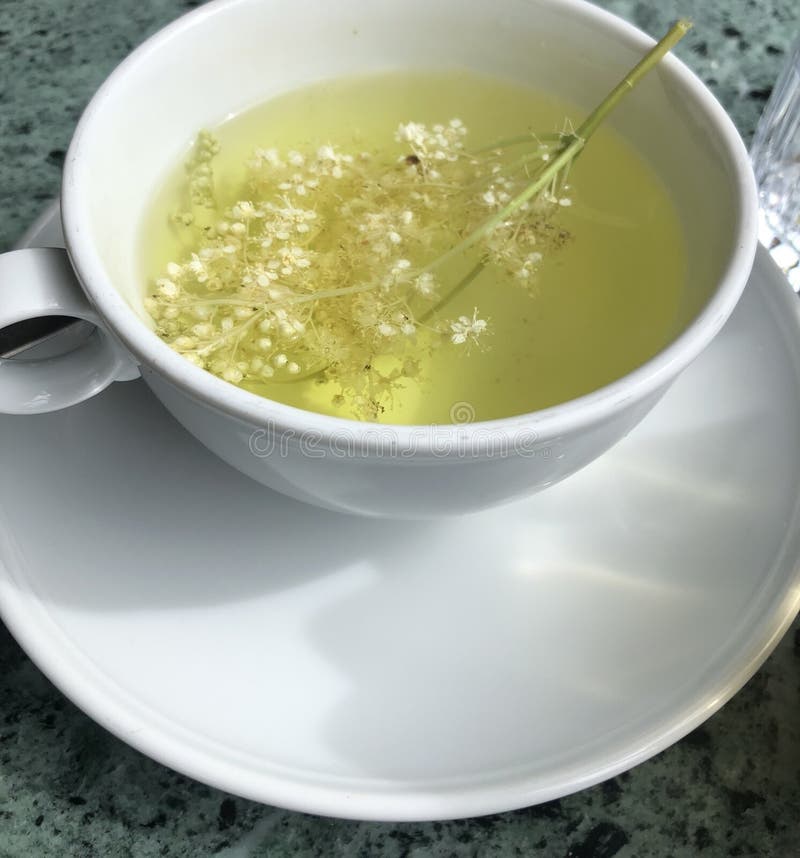 Lemonade Flowers in a Glass Wild Picked Self Made Stock Image - Image ...