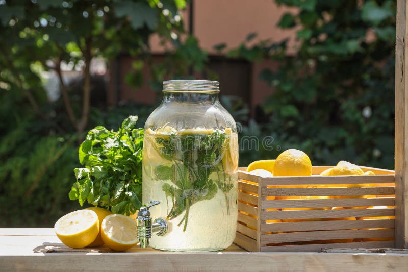 Lemonade Stand with Refreshing Drink, Fresh Fruits and Mint in Park ...