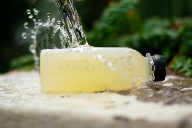 Lemoned stock image. Image of refreshment, nature, diet - 183965139
