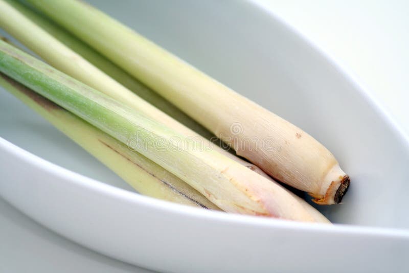Lemongras stock image. Image of chinese, spice, cocking - 5171235