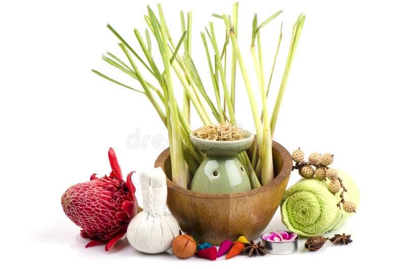 Lemongras (Cymbopogon-citratus (DC.) Stapf). Stockbild - Bild von ...