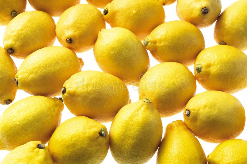 Lemons stock image. Image of lemon, harvest, lime, citrus - 85029