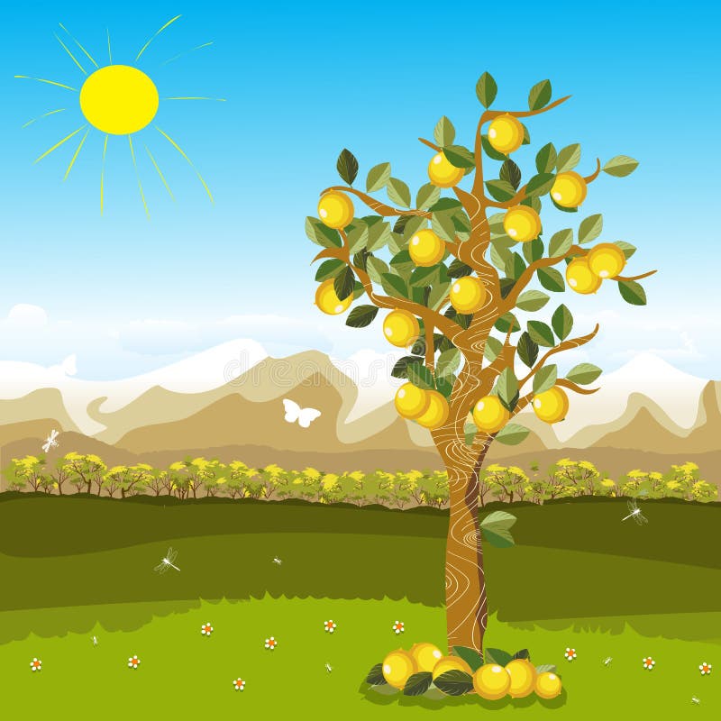 Lemon tree stock vector. Illustration of kids, graphic - 14894390