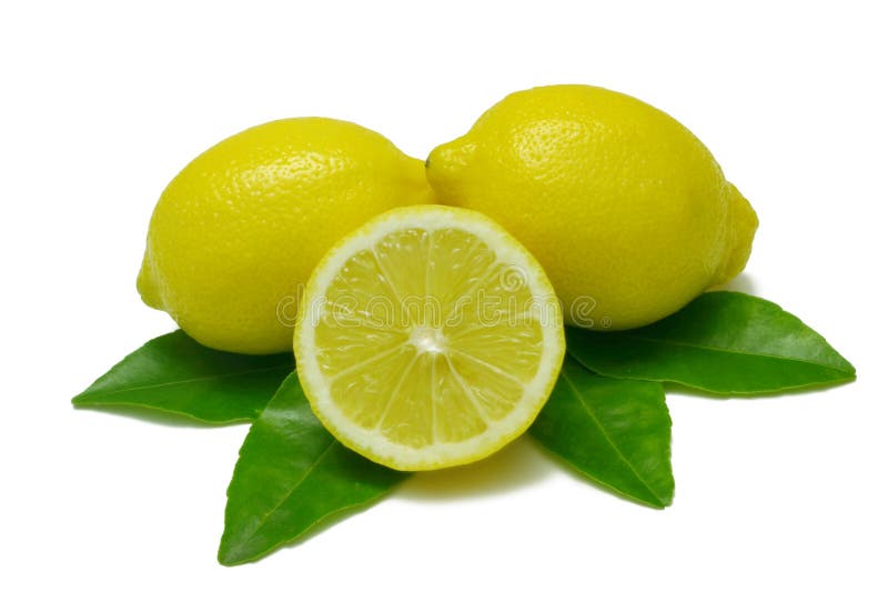 Lemons stock photo. Image of lemon, isolated, citrus, group - 6430866