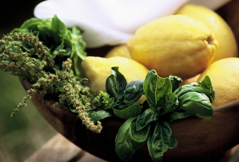 Lemons and basil stock photo. Image of ingredients, wood - 10245660